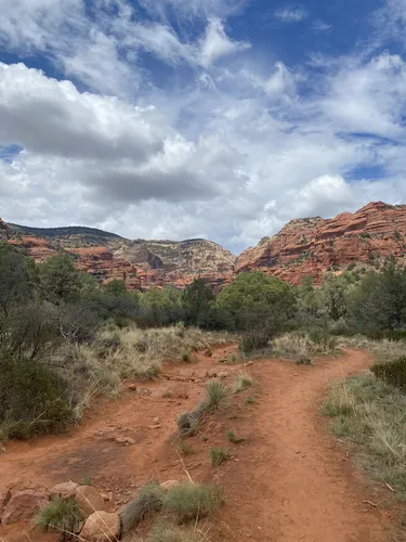2023 Best 10 Trail Running Trails in Coconino National Forest | AllTrails
