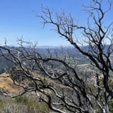Goodspeed-Nattkemper Trail to Mount Hood Peak and Gunsight Lookout ...