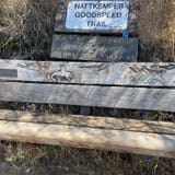 Goodspeed-Nattkemper Trail to Mount Hood Peak and Gunsight Lookout ...