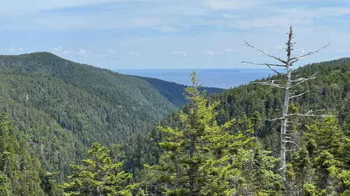 Best Waterfall Trails in Little Salmon River Nature Preserve | AllTrails