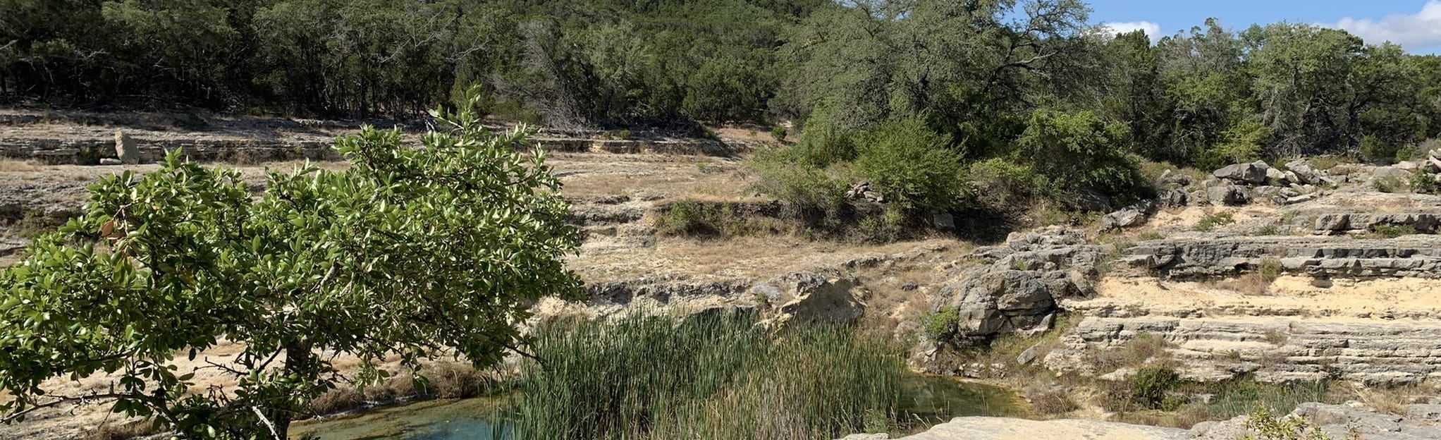 Canyon Gorge Overlook Trail, Texas - 101 Reviews, Map | AllTrails