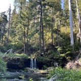 Lemolo Falls Trail, Oregon - 350 Reviews, Map | AllTrails