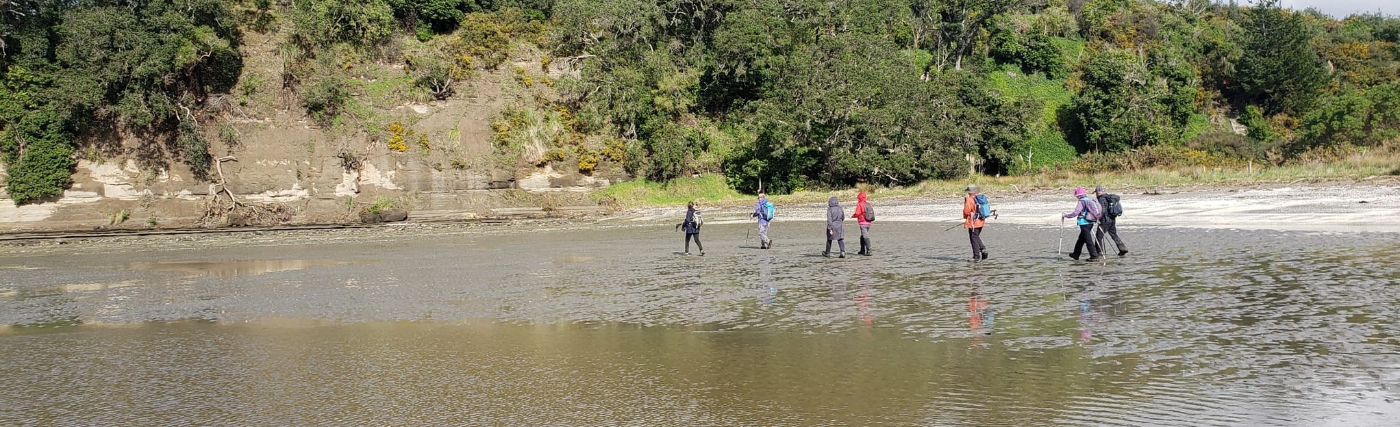 Dacre Cottage Historical Reserve Walk, Auckland, New Zealand - 22 ...