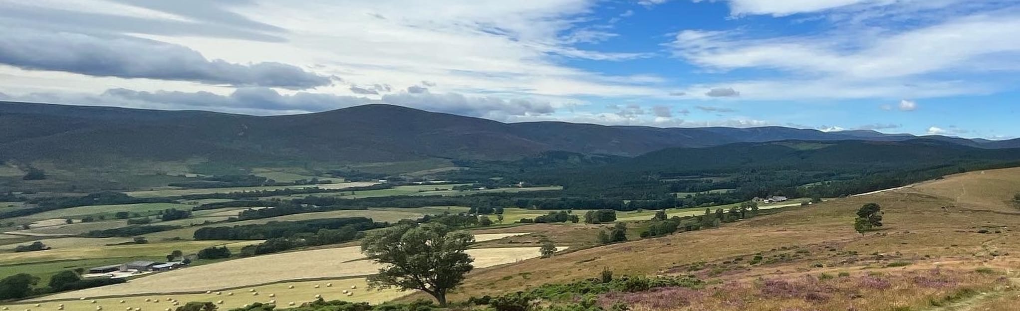 Finzean-Tom's Cairn Circular: 16 Reviews, Map - Aberdeenshire, Scotland ...