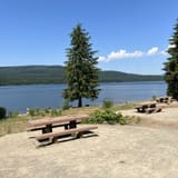 Timothy Lake Loop, Oregon - 290 Reviews, Map | AllTrails
