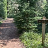 Timothy Lake Loop, Oregon - 290 Reviews, Map | AllTrails