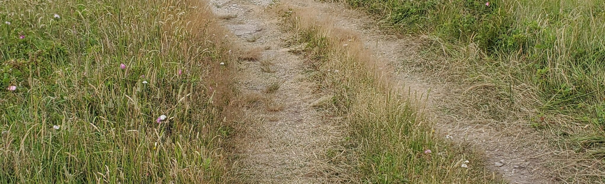 Small Point-Broad Cove-Blackhead-Adams Cove Lookout, Newfoundland and ...