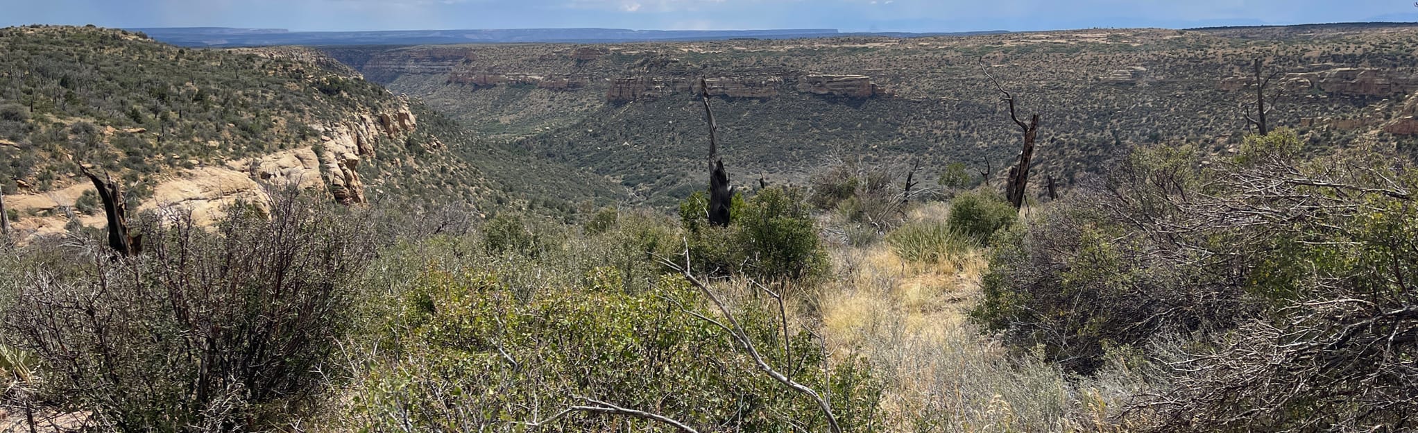Tower Overlook Trail, Colorado - 7 Reviews, Map | AllTrails