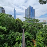 Bukit Nanas Forest Reserve Trail, Kuala Lumpur, Malaysia - 32 Reviews ...
