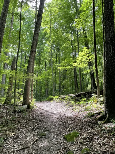 Best 10 Hiking Trails in Brighton State Recreation Area | AllTrails