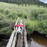 Wigwam Trail 609, Colorado - 348 Reviews, Map | AllTrails