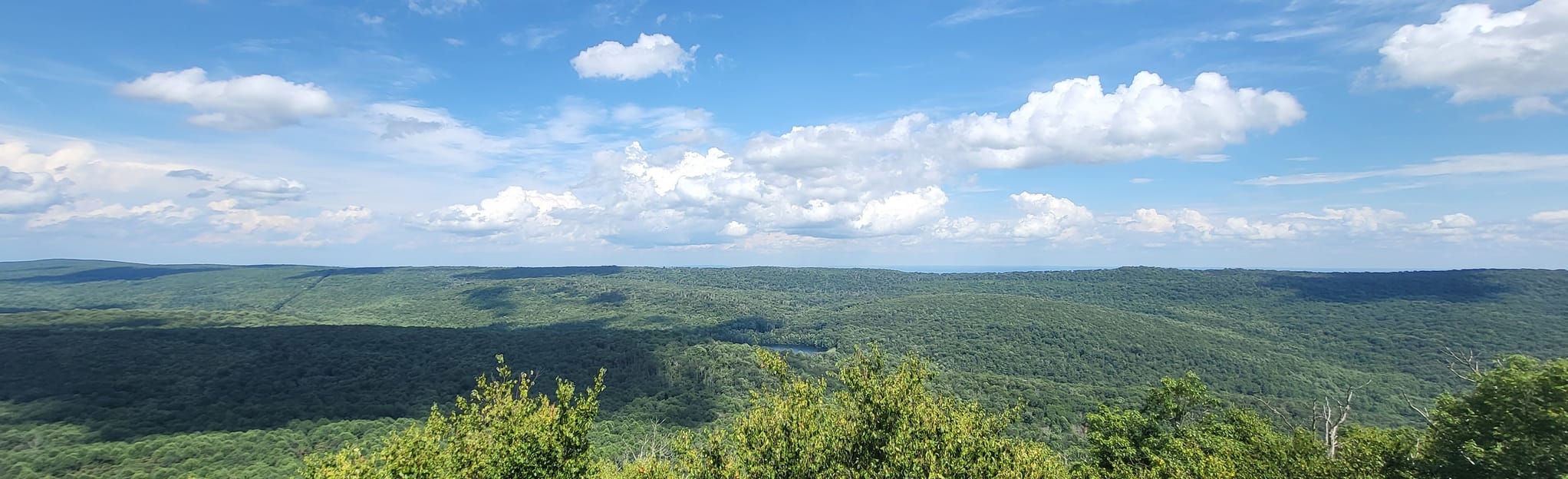 Chimney rocks via Hermitage Trail, Pennsylvania - 106 Reviews, Map ...