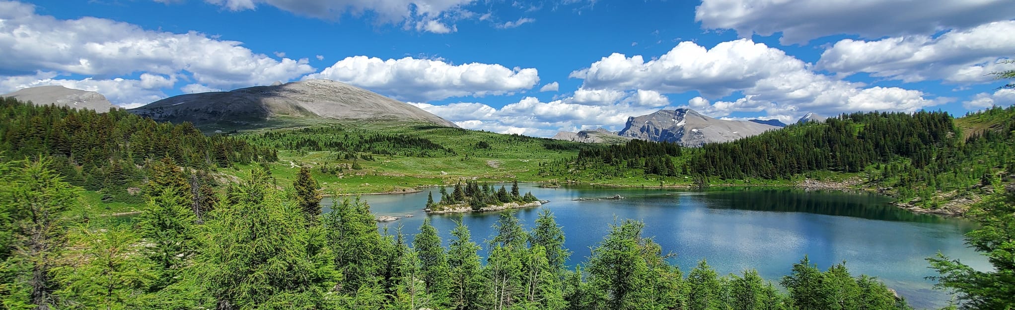 Sunshine Meadows, Alberta, Canada - 170 Reviews, Map | AllTrails