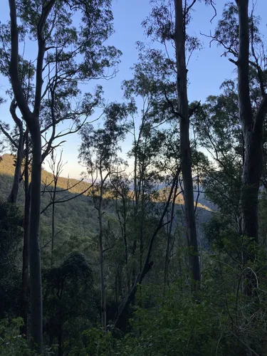 10 Best Trails and Hikes in Mount Glorious | AllTrails