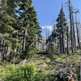 Barrett Spur via Vista Ridge and Wy'east Basin Trail, Oregon - 146 ...