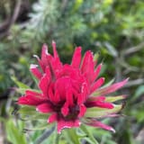 Barrett Spur via Vista Ridge and Wy'east Basin Trail, Oregon - 146 ...