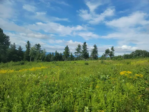 Best Hikes and Trails in Mount Independence State Historic Site | AllTrails