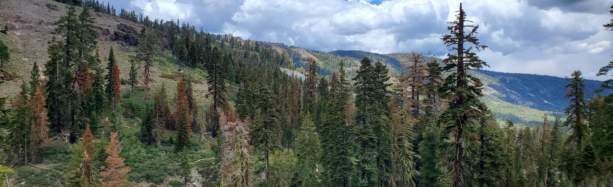 Ellis Peak via Blackwood, Barker Meadow, and Rubicon Road OHV Trail: 75 ...