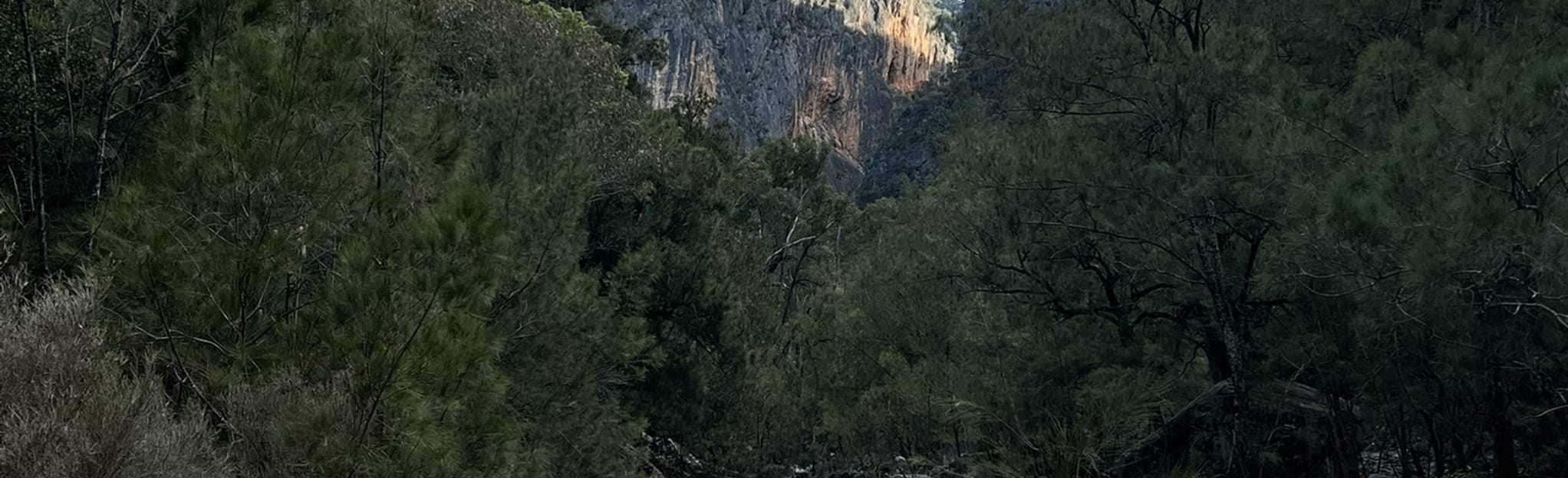 Bungonia Gorge Green and Red Track, New South Wales, Australia - 255 ...