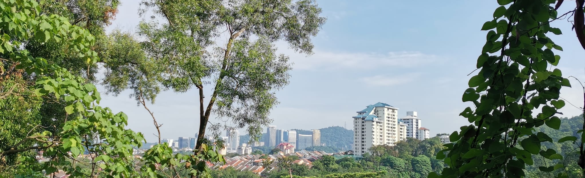 Kiara Hill via Bamboo Curved View and Angkor Wat Tree Loop: 95 foto's ...