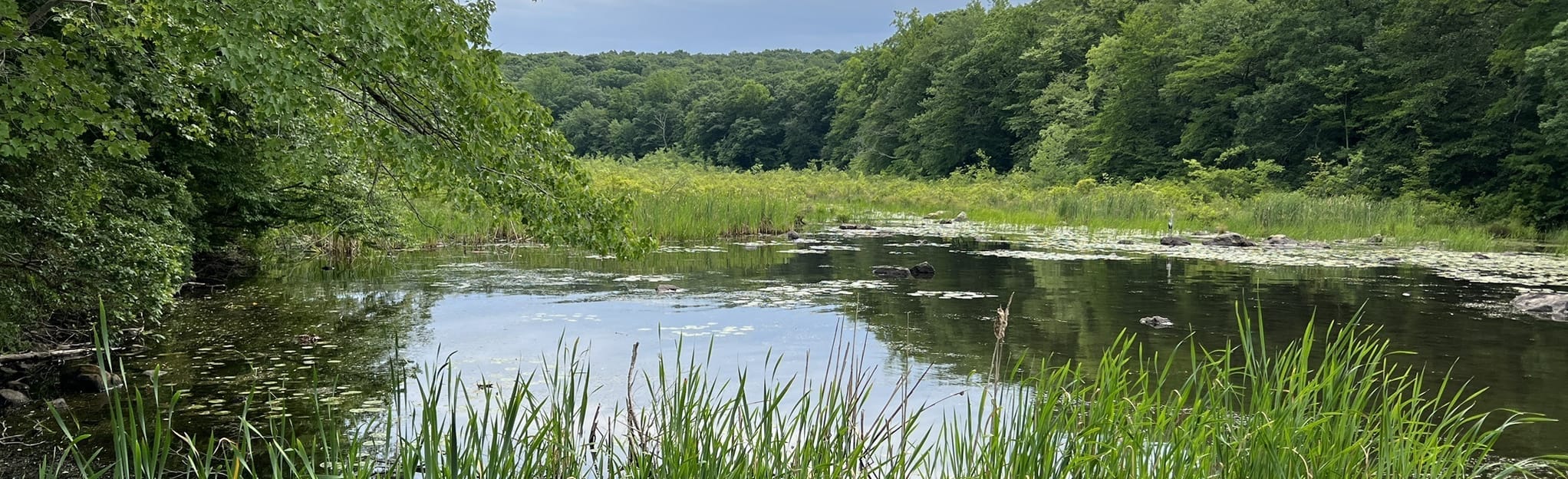Liffy Island via James Leach Boardwalk and Lake Hopatcong Trail, New ...