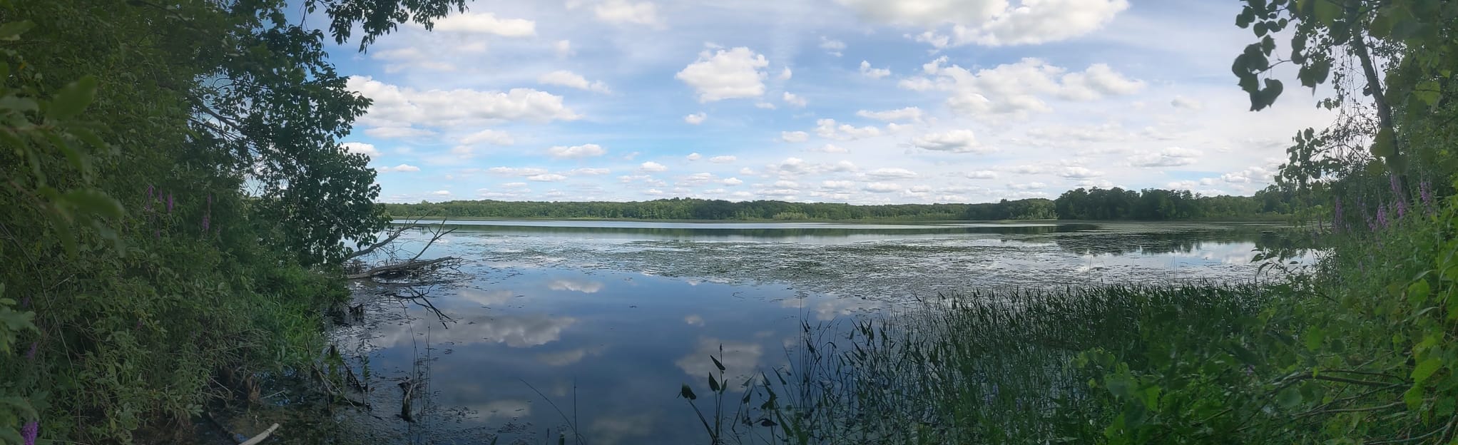 Lakeview Trail Loop: 93 Reviews, Map - Michigan | AllTrails