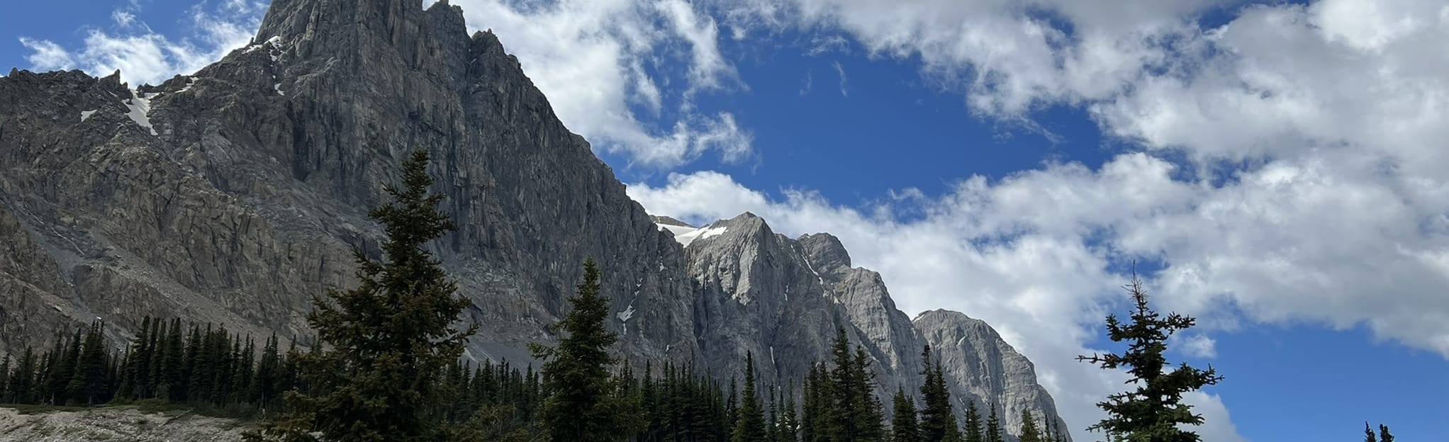 Wolverine Pass Trail, British Columbia, Canada - 5 Reviews, Map | AllTrails