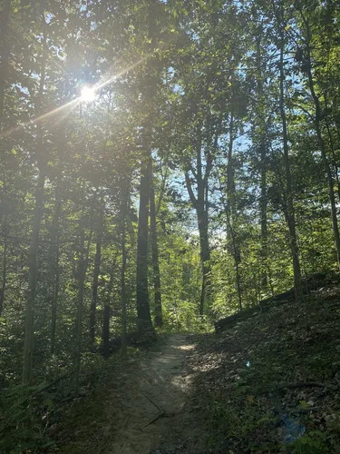 10 Best Trails and Hikes in Peninsula | AllTrails