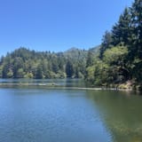 Lake Lagunitas, California - 597 Reviews, Map | AllTrails