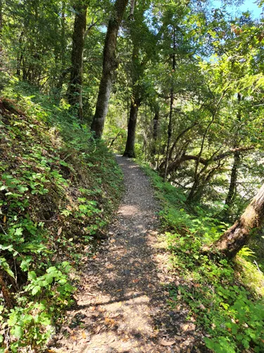 Best Hikes And Trails In Blm Medford District Alltrails