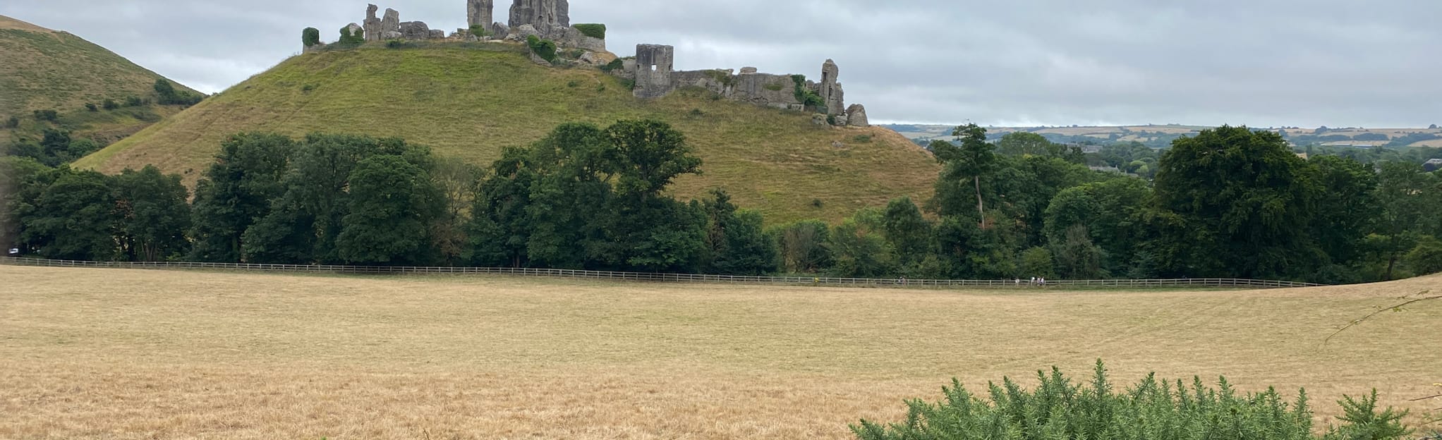 Norden Farm - Corfe Castle, Dorset, England - 9 Reviews, Map | AllTrails