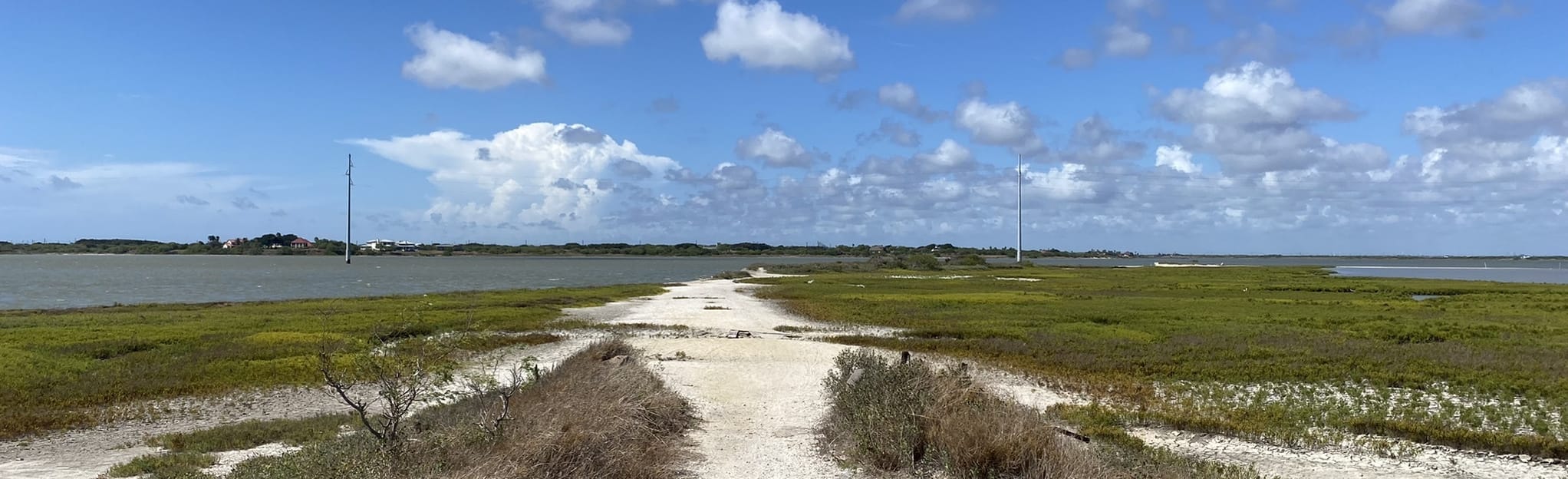 Oso Bay Wetlands Preserve, Texas - 308 Reviews, Map | AllTrails