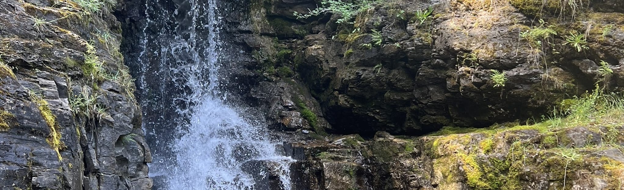 Rainy Creek Falls: 24 Reviews, Map - Alberta, Canada | AllTrails