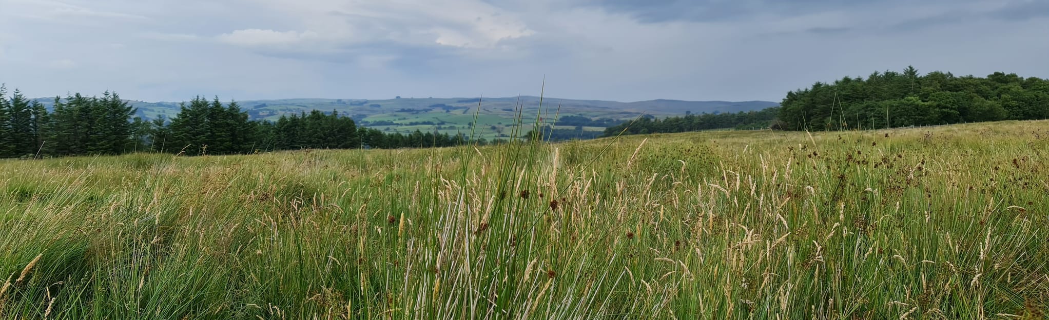 Ysbyty Ifan and Bryn-Llech Circular: 5 Reviews, Map - Conwy, Wales ...