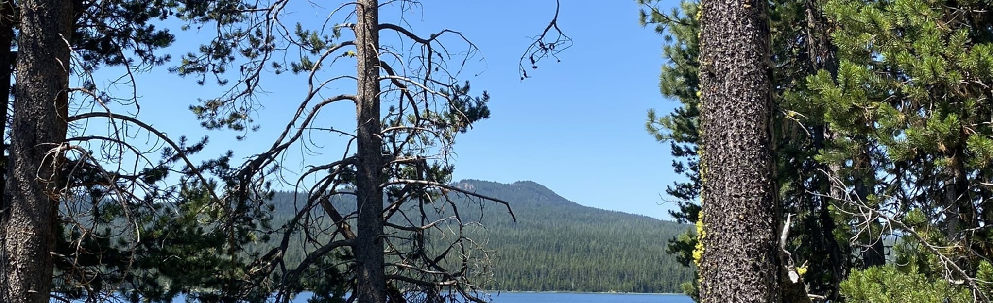 Lava Lake via Metolius Windigo Trail, Oregon - 46 Reviews, Map | AllTrails