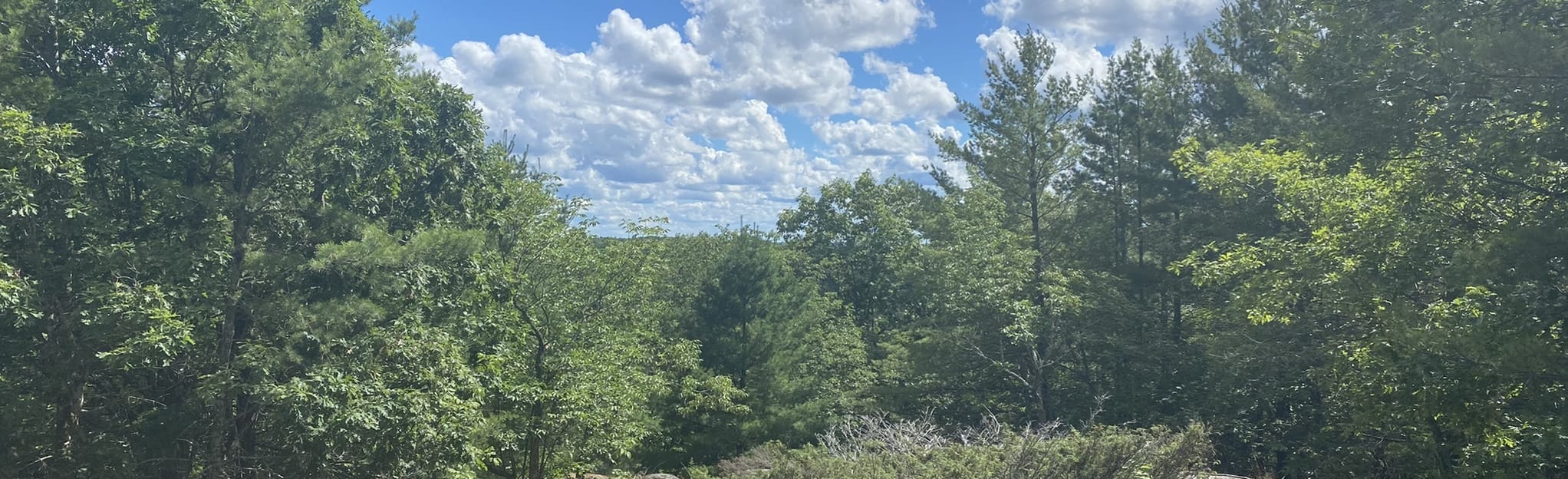 Porcupine Ridge, Ontario, Canada - 14 Reviews, Map | AllTrails