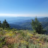 Bogus Basin Loop Trail, Idaho - 242 Reviews, Map | AllTrails