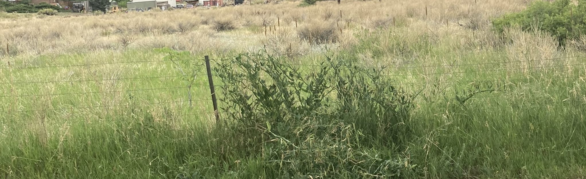 Golden Open Space Trail: 100 Reviews, Map - Colorado | AllTrails