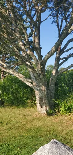 Best Hikes and Trails in Deer Isle | AllTrails