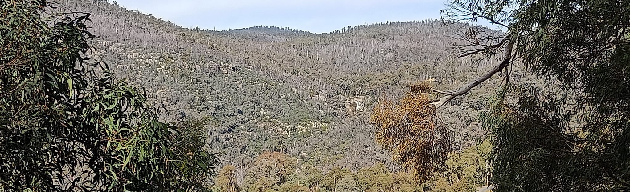 Devils Gap Fire Trail, Australian Capital Territory, Australia - 21 ...