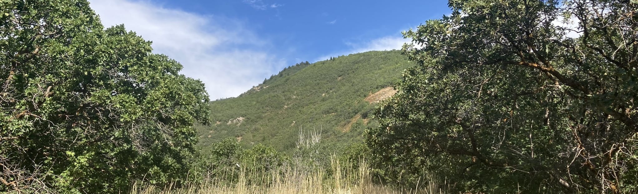 Bonneville Shoreline Trail: Layton Ridge to Fernwood Recreation Area ...