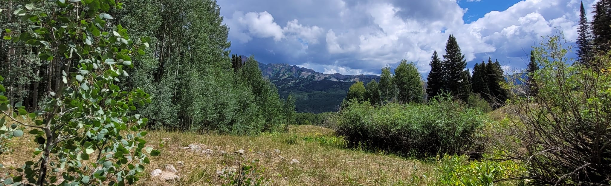 Beckwith Pass Trail, Colorado - 82 Reviews, Map | AllTrails