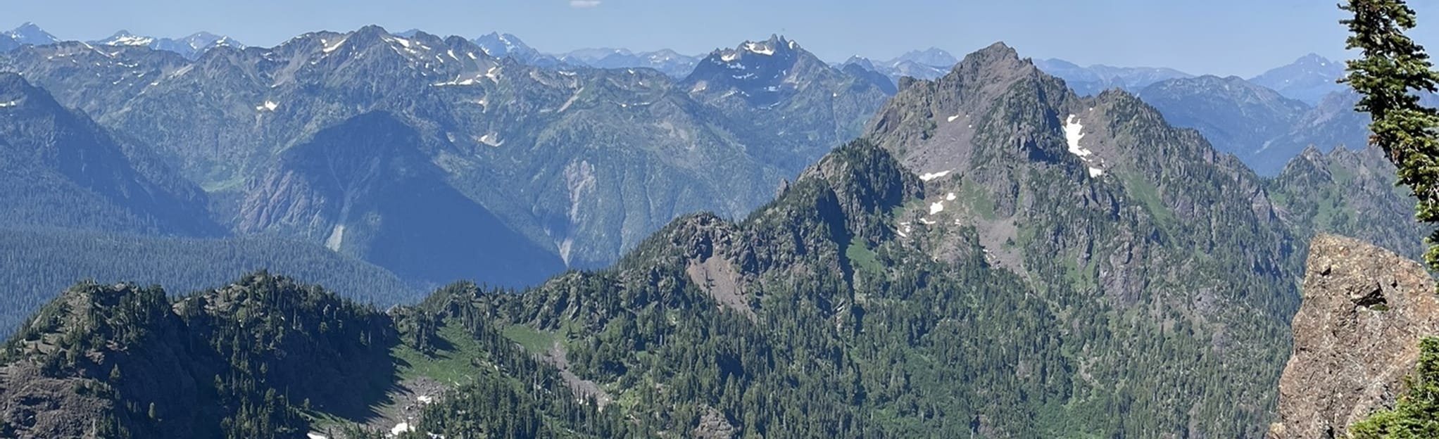 Mount Ellinor via Upper Trailhead: 1559 Reviews, Map - Washington ...