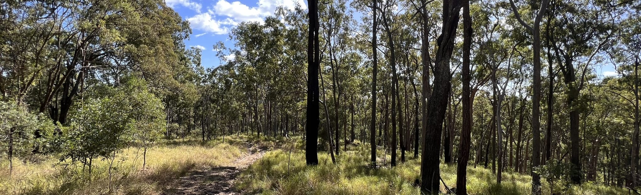 Knoll Road to Lower Cameron Falls: 18 Reviews, Map - Queensland ...