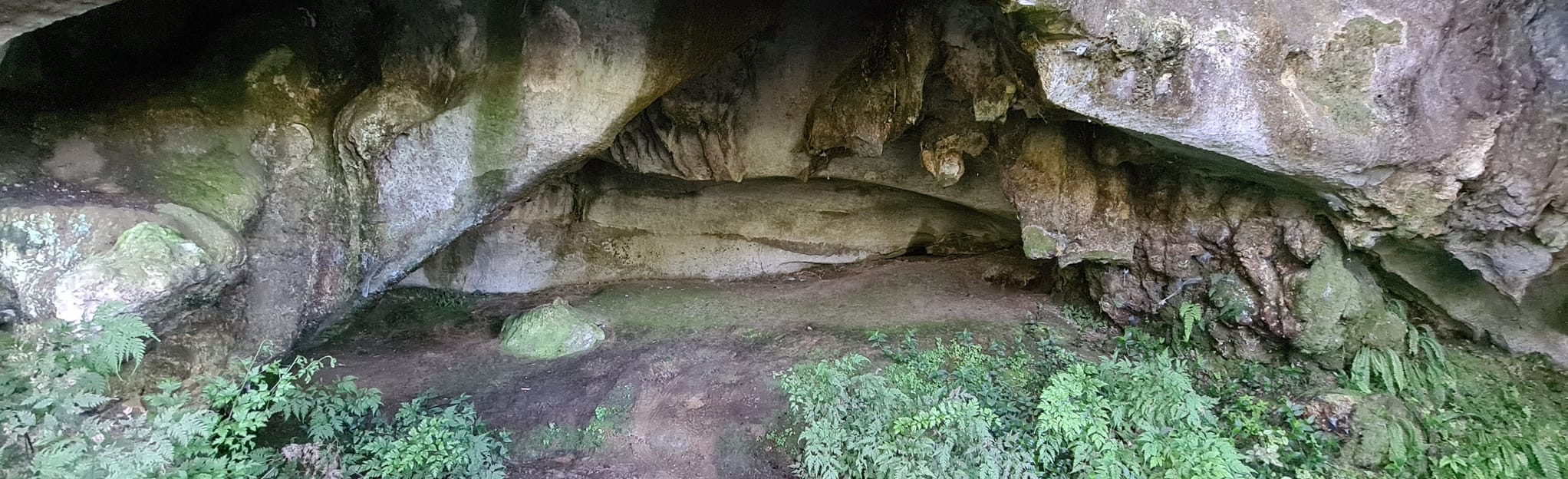 Waipu Caves, Northland, New Zealand - 30 Reviews, Map | AllTrails