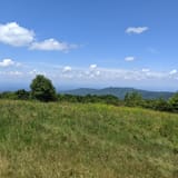 Whigg Meadow via Mud Gap Trail, North Carolina - 125 Reviews, Map ...