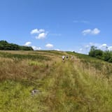 Whigg Meadow via Mud Gap Trail, North Carolina - 125 Reviews, Map ...