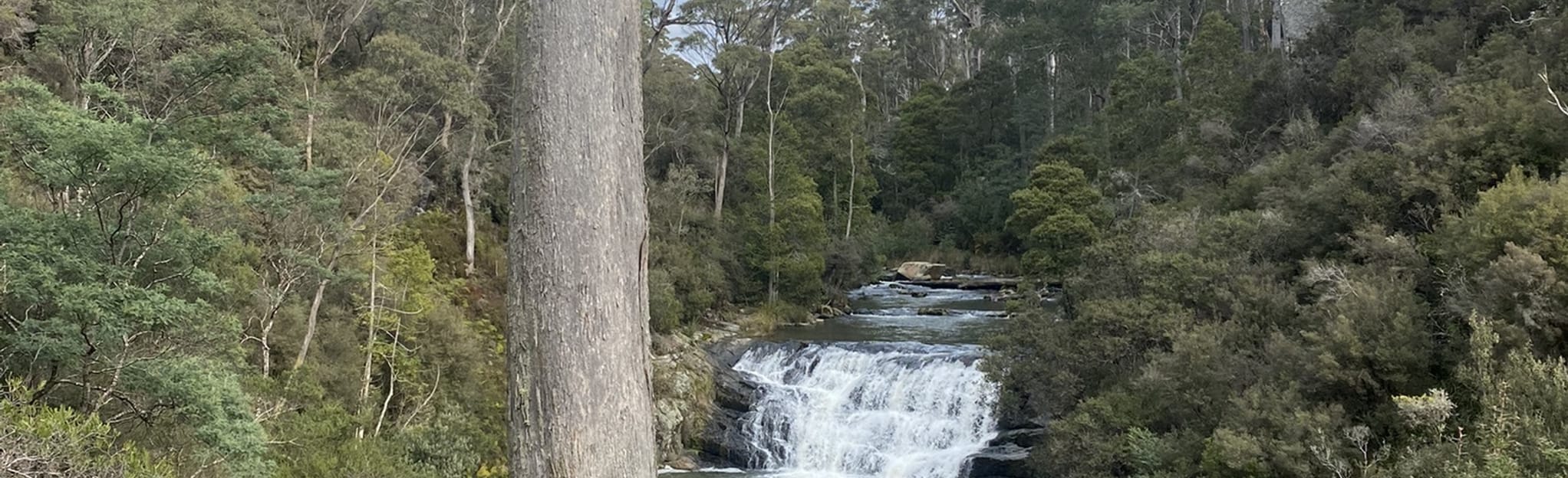 Lobster Falls, Tasmania, Australia - 135 Reviews, Map | AllTrails
