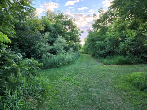 Best Hikes and Trails in Leo Rudolph Nature Reserve | AllTrails