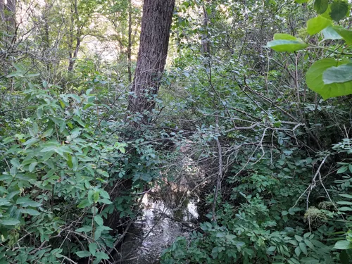 Best Hikes and Trails in Leo Rudolph Nature Reserve | AllTrails